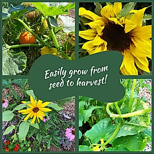 DIY Gardening Kit For Kids Girls & Boys of All Ages | Fun Craft Activity Kids Plant Growing Kit| Learn How to Grow Your Own Vegetables & Flowers with Supplies from Grow and Make| Kids Seed Growing Kit