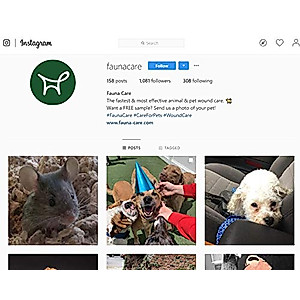 Fauna Care Equine Protect & Condition Spray 4.5 oz to Heal & Soothe Wounds, Cuts, Scrapes, Scratches, Post-Op; Prevent Infection, Irritation, Pain; Veterinarian Recommended Wound Care