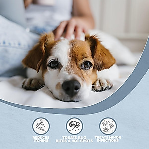 Farm Dog Naturals - Restore Wound Care and Itch Relief Salve for Dogs, 2 Ounce