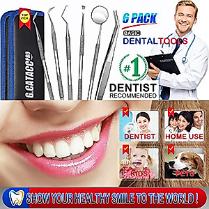 Dental Tools, Teeth Cleaning Tools, Professional Dental Hygiene Kit, Plaque Remover for Teeth, Stainless Steel Tooth Scraper Plaque Tartar Cleaner, Dental Scaler - with Case