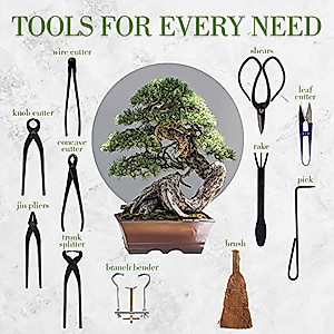 BambooMN 15 Piece Bonsai Master Tools Set with Case, Shears, Concave Cutter, Knob Cutter, Wire Cutter, Bonsai Trimming, Branch Bending, Beginner Friendly - 1 Set