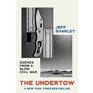 The Undertow: Scenes from a Slow Civil War