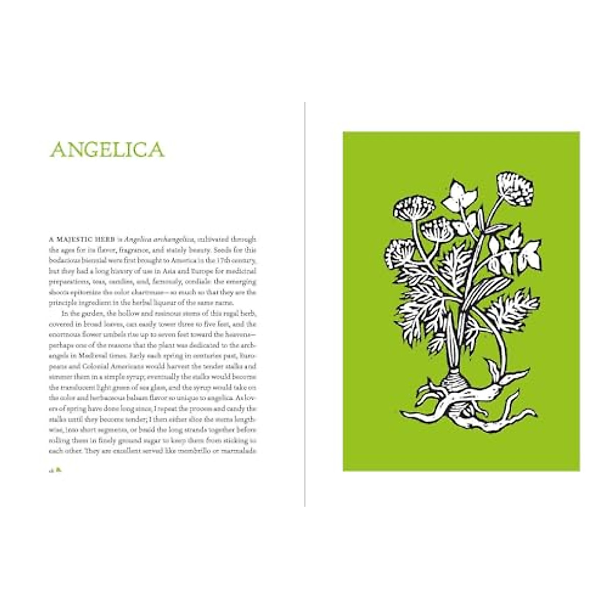 The Heirloom Gardener: Traditional Plants and Skills for the Modern World