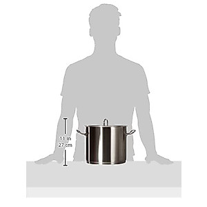 Fissler Original-Profi Collection 2019 Stainless Steel Tall Stock Pot, 9.6 Quart