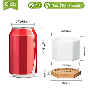 T4U Small White Succulent Planter Pots with Bamboo Tray Hexagon Set of 2, Geometric Cactus Plant Holder Container for Home Office Table Desk Decoration for Mom Aunt Sisiter Gardener