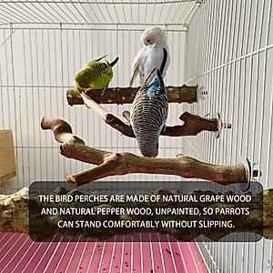 5PCS Bird Perch Stand Natural Wooden Parrot Stand Branch, 3 Grape Wood Perch, 2 Stand, Paw Grinding Fork Parakeet Chewing Stick Exercise Training Branches for Cockatiels, Small Birds