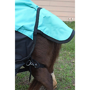 CHALLENGER 58" 1200D Miniature Weanling Donkey Pony Horse Foal Winter Blanket Teal 51945