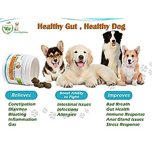PureOptima Probiotics Chews for Dogs, Digestive Enzymes + Prebiotics Improves Digestion, Diarrhea, Constipation, Gas, Bad Breath, Leaky Gut, Allergy Immunity Daily Supplement 120 Counts