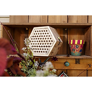 Toysmith Beetle & Bee Solitary Bee Habitat - DIY Kids Art Craft Outdoor Bee Kit, Educational Kit for Kids, No Hardware/No Glue Required, 13 Wooden Pieces, FSC Certified, Intended for Age 8+