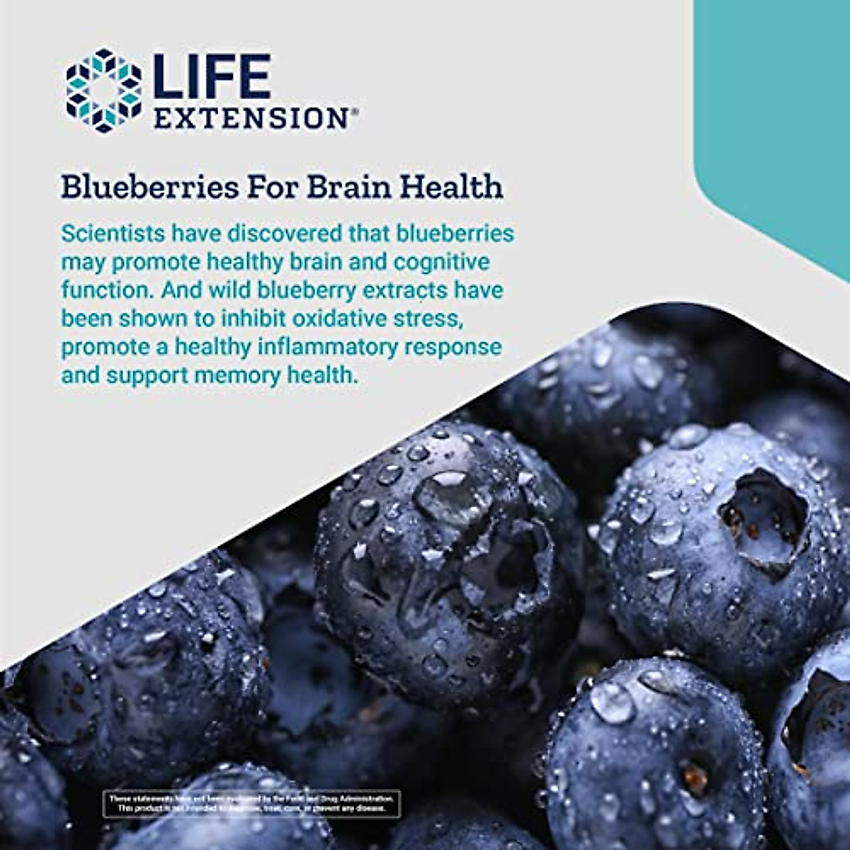 Life Extension Blueberry Extract Capsules - Whole Fruit Wild Blueberry Extract Supplement Pills- For Brain Health Support - Non-GMO, Gluten-Free ,Vegetarian - 60 Capsules