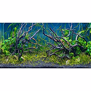 AWERT 24x12 inches Tropical Fish Tank Background River Bed & Lake Aquatic Plant Undersea Tree Branch Aquarium Background Vinyl