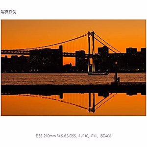 SONY E 55-210mm F4.5-6.3 Lens for SONY E-Mount Cameras (Black) (Renewed)