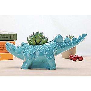 VanEnjoy 12 inches Cute Cartoon Dinosaur Ceramic Succulent Planter, Water Culture Hydroponics Bonsai Cactus Flower Pot,Air Plant Vase Holder Desktop Decorative Organizer (Stegosaurus, Blue)