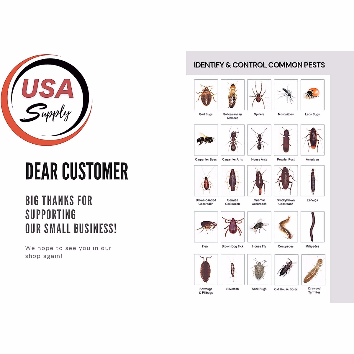 PT Wasp-Freeze II: Swift & Safe Wasp & Hornet Insecticide 14oz | Premium USA Supply Gloves for Safe Eradication | USA Supply Pest ID Card