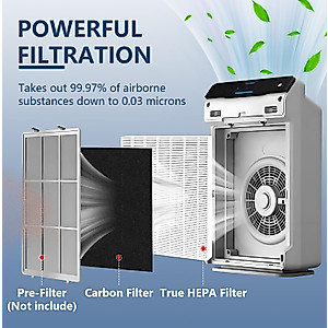115115 Replacement Filter A Size 21 Compatible with Winix PlasmaWave 5300-2, C535, P300, 6300-2, 5300, 9000 Air Purifier, 2 True HEPA Filter 8 Carbon Pre-Filters
