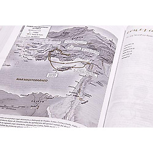 Biblia Reina Valera 1960 de Estudio para Mujeres, Tapa dura | RVR 1960 Women Study Bibl, Hardcover (Spanish Edition)