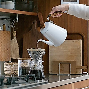 Hario "Simply Glass V60 Pour Over Set with Glass Server, Scoop and Filters, Size 02, Clear