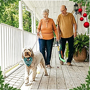 Bonjin 2 Pack Dog Bandana Christmas Classic Plaid, Pet Scarf Triangle Reversible Bibs Kerchief Santa Christmas Tree Magic of Christmas Print Pet Bandana for Small Medium Large Dogs Cats Pets