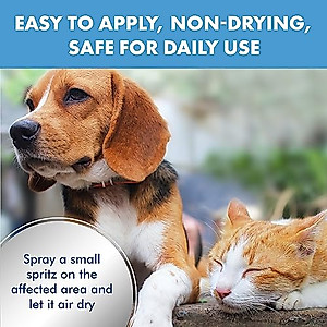 PetSilver Wound & Skin Spray with Chelated Silver, Made in USA, Vet Formulated, All Natural Pain Free Formula, Relief for Hot Spots, Wounds, Rashes and Various Skin Issues, 4 fl oz