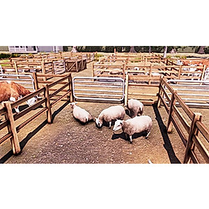 Real Farm - PlayStation 4