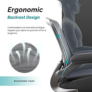 BOJUZIJA Ergonomic Mesh Office Computer Desk Chair,with Flip-Up Arms,Lumbar Support Swivel Computer Task Chair -Black