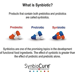 SynbioCure I Probiotics & Prebiotics for Cats I Powder Cat Supplement I Digestive Health Support I 200 Billion Bacteria Per Sachet I 30 Sachets*2 g