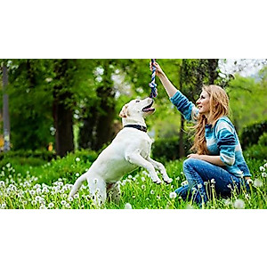 BUIBIIU Dog/Puppy Teething Toys, Assorted Chew Toys, 6 ct