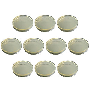 30 Pcs Determine Equipment Agar Medium Agar Plates