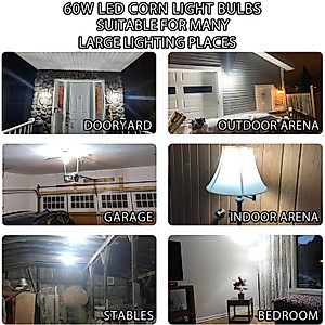 NS 2 Pack 600W Equivalent 7530 Lumen A19 60W LED Corn Light Bulbs E26 Medium Base 6500K Cool White for Home Garden Lighting Garage Backyard Office Household