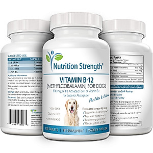 Nutrition Strength Vitamin B12 for Dogs Plus Folate & Calcium, Support the Nervous System & Blood Cell Formation, Help Sustain Cellular Energy Generation & Maintain DNA Synthesis, 120 Chewable Tablets