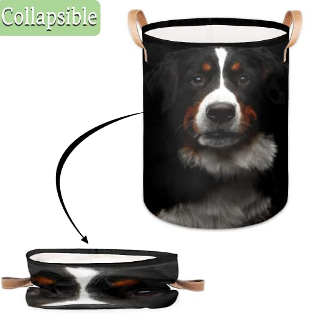 Bernese Mountain Dog Animals Collapsible Laundry Basket Large Laundry Hamper Waterproof Foldable Storage Bins Laundry Basket with Leather Handles Clothes Nursery Hampers for Bathroom Bedroom Toy Organizer