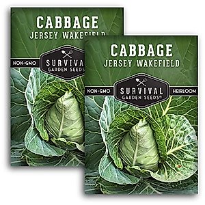 Survival Garden Seeds - Jersey Wakefield Cabbage Seed for Planting - 2 Packs with Instructions to Plant and Grow Cone-Shaped Green Cabbages in Your Home Vegetable Garden - Non-GMO Heirloom Variety
