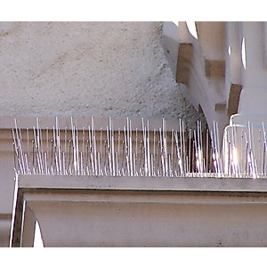 Nixalite Bird Spike Wildlife Barrier Kit (10ft, 5-2ft Strips)