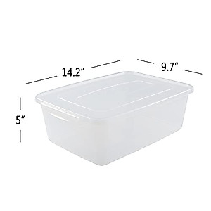 Neadas 16 L Clear Plastic Storage Bin with Lid, 6 Packs