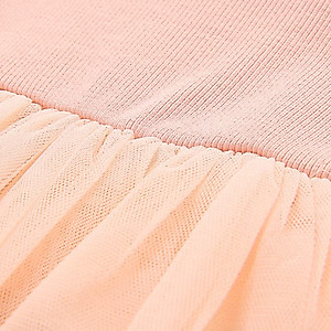 AGQT Baby Girls Tulle Tutu Dress Long Sleeve Multi-Layer Lace Dress Knit Round Neck Casual Dress Christmas Fall Winter Party Dresses Pink-Colorful Size 18-24 Months