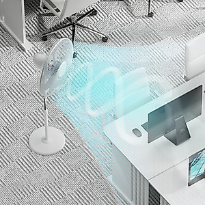 mollie Oscillating Pedestal Fan with Remote Control 12H Timer Portable Adjustable Height 6 Blades Quiet Air Circulator Standing Floor Fan for Bedroom Home White