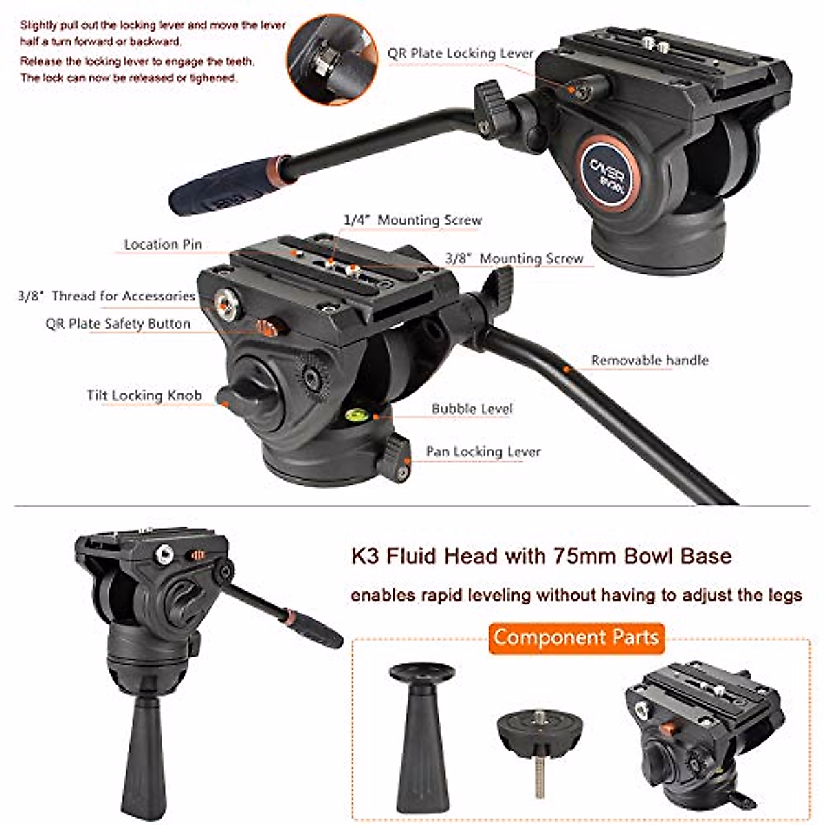 Video Tripod System, Cayer BV30L 72 inch- Professional Heavy Duty Aluminum Twin Tube Tripod, K3 Fluid Head, Mid-Level Spreader, Max Loading 13.2 LB, DSLR Camcorder, Plus 1 Bonus Quick Release Plate