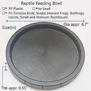 Fuongee Reptile Feeding Dish Bowl Food and Water Bowl Tortoise Dish Reptile Tank Decor, Dia 6.7 Inches, Round