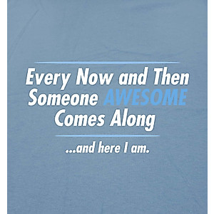Someone Awesome Comes Along Graphic Novelty Sarcastic Funny T Shirt L Black