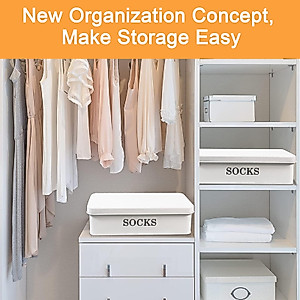 Gdfjiy Storage Bin, Metal Storage Organizer with Lid & 10 Adjustable Grids, Socks Drawer Organizer for Closet, Underwear, Panty, Ties, Ornament (White, 12 inches Wide, 1.0 lbs)