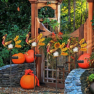 Thanksgiving Decorations Outdoor, 2 Pack AHAORIGIN Solar Turkey Fall Decorations, 36" Solar Powered Metal Turkey Garden Stakes Lights, Auto ON/Off Waterproof Thanksgiving Yard Pathway Outdoor Decor