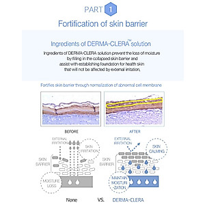 Blanc Doux Oligo Hyaluronic Acid Calming Cream 1.69 fl. oz. - VEGAN Certified - Greatly Moisturizing Cream for Sensitive, Dry Skin with Hyaluronic Acid Deep Hydrating, Soothing - Best Korean Skin Care