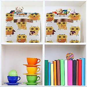 Fall Owls Thanksgiving Storage Basket Bins Decorative Toy Laundry Basket Organization with Handles for Bedroom Office Clothes Pet Nursery Living Room,2 pcs