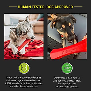 Playology Squeaky Chew Stick Dog Toy, for Large Dogs (35lbs and Up) - for Moderate Chewers - Engaging All-Natural Beef Scented Toy - Non-Toxic Materials