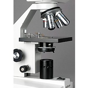 AmScope B100B-E Digital Compound Binocular Microscope, 40X-2000X Magnification, Brightfield, Tungsten Illumination, Abbe Condenser, Plain Stage, Includes 0.3MP Camera and Software