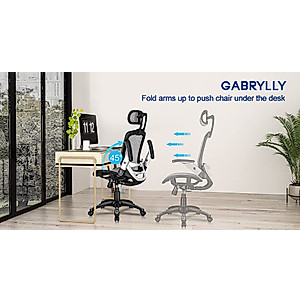 GABRYLLY Ergonomic Mesh Office Chair, High Back Desk Chair - Adjustable Headrest with Flip-Up Arms, Tilt Function, Lumbar Support and PU Wheels, Swivel Computer Task Chair, Grey