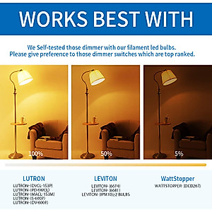 ANWIO Vintage Edison Light Bulb ST21 LED Filament Bulb 7W(60 Watt Equivalent) Dimmable 2500K (Amber Glow) Warm White E26 Medium Base, Amber Glass Cover,6 Pack