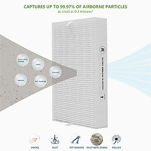 Basum True HEPA Replacement Filter R HRF-R2, for Honeywell HPA300, HPA200, HPA100 & HPA090 Series,Part No HRF-R3, HRF-R2 & HRF-R1, 2 Pack