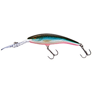Rapala Deep Tail Dancer 11 Fishing lure, 4.375-Inch, Rainbow Trout