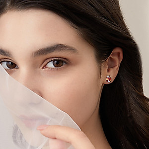 Elephant Stud Earrings 925 Sterling Sliver Cute Animal Jewelry Gifts for Women (ladybug)